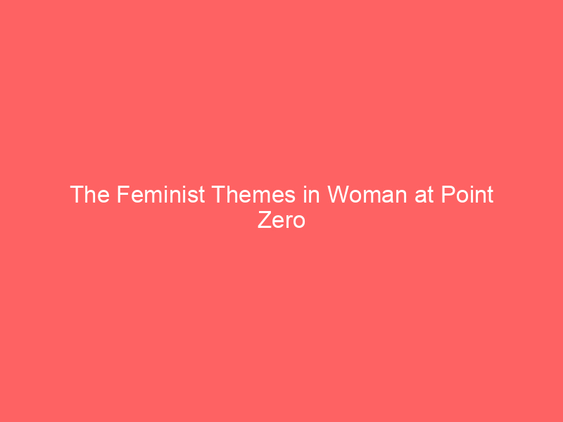 The Feminist Themes in Woman at Point Zero - Reading Time